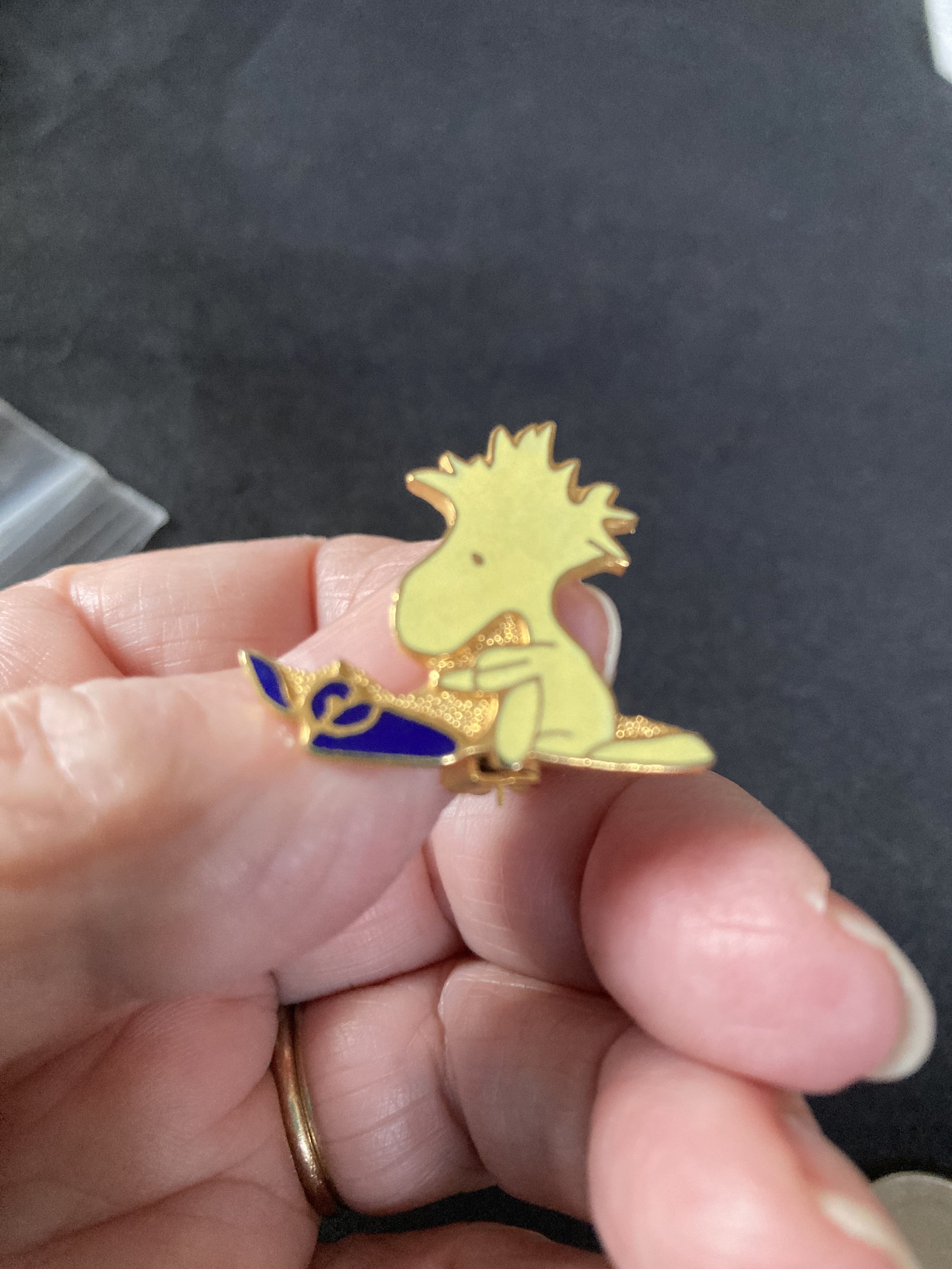 Snoopy and Woodstock Cloisonné Pins - Etsy