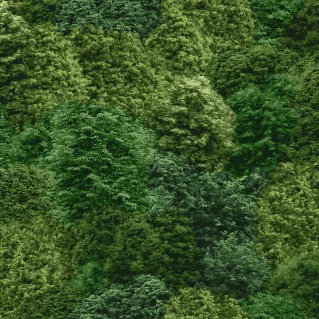 FWDNAE08-GRE Green Dark Tree Tops by Natural Elements. Priced by the ...