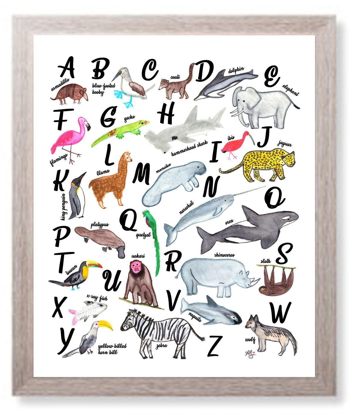 Alphabet Animals, Wild Animals, Animal ABC, Watercolor Nursery Decor ...
