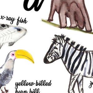 Alphabet Animals, Wild Animals, Animal ABC, Watercolor Nursery Decor ...