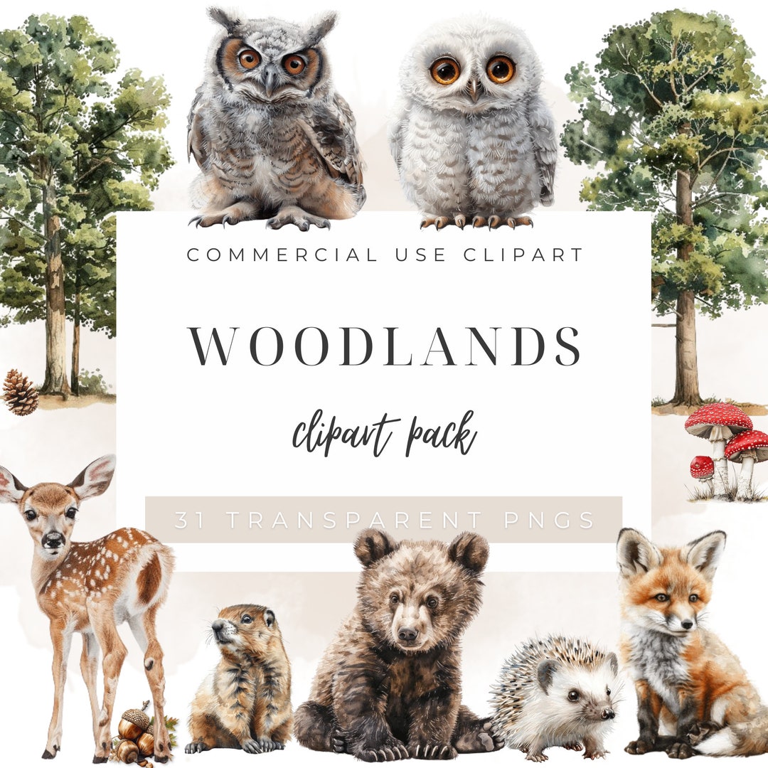 Woodland Creatures, Watercolor Clipart, 31 Images, for Commercial Use ...
