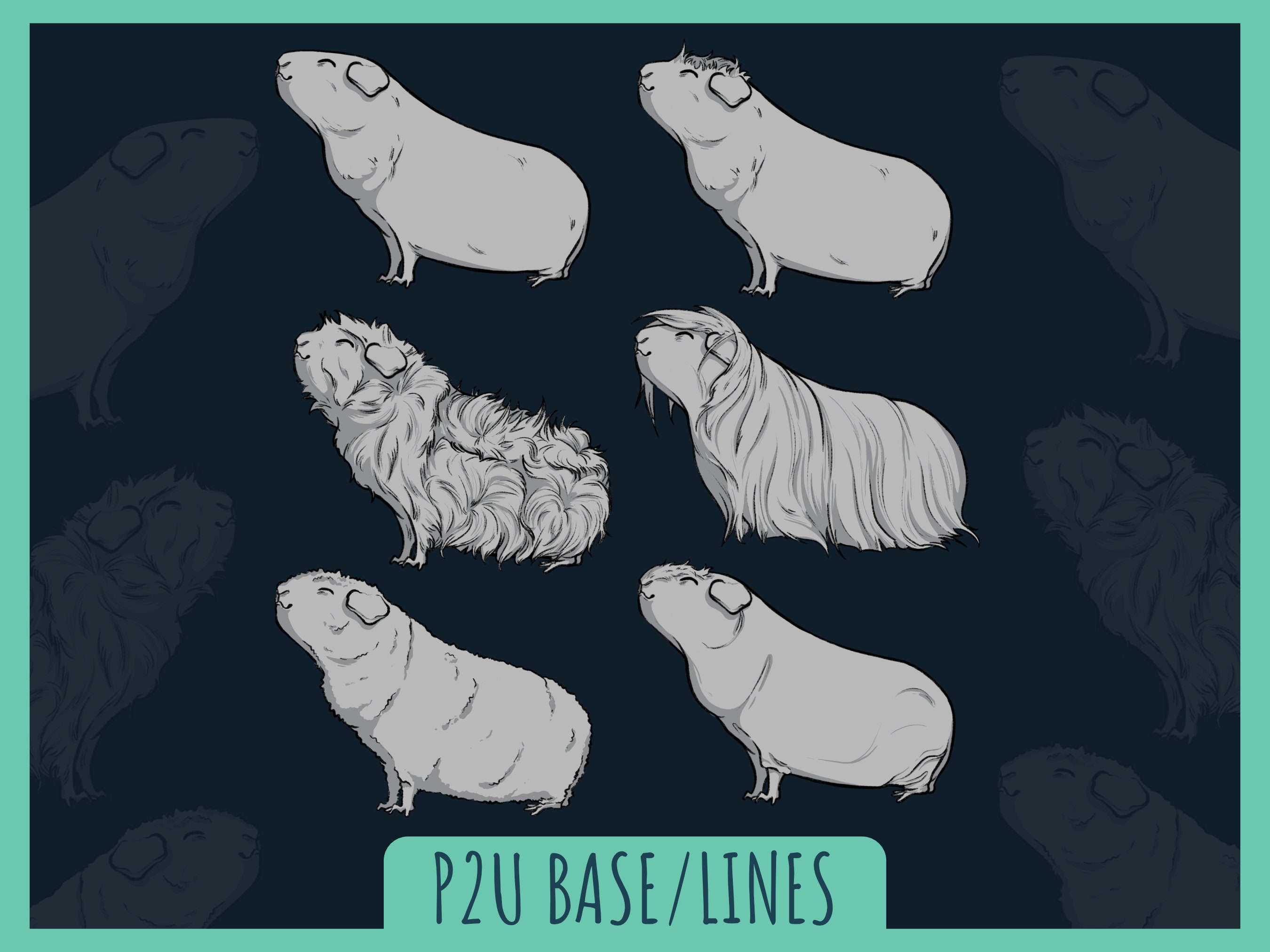 P2U Adoptable Feral Furry Base - 6 Different Guinea Pig Breeds! - Etsy