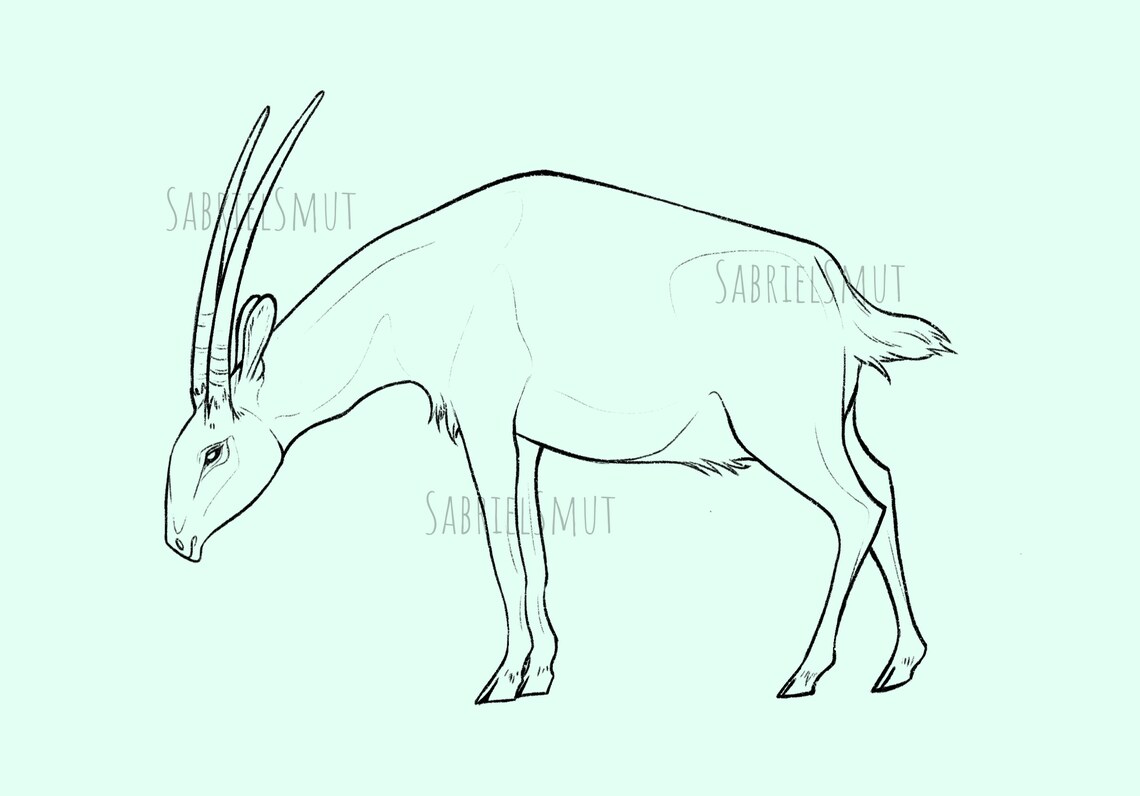 Lineart/base - Saola "the Asian Unicorn" - Etsy