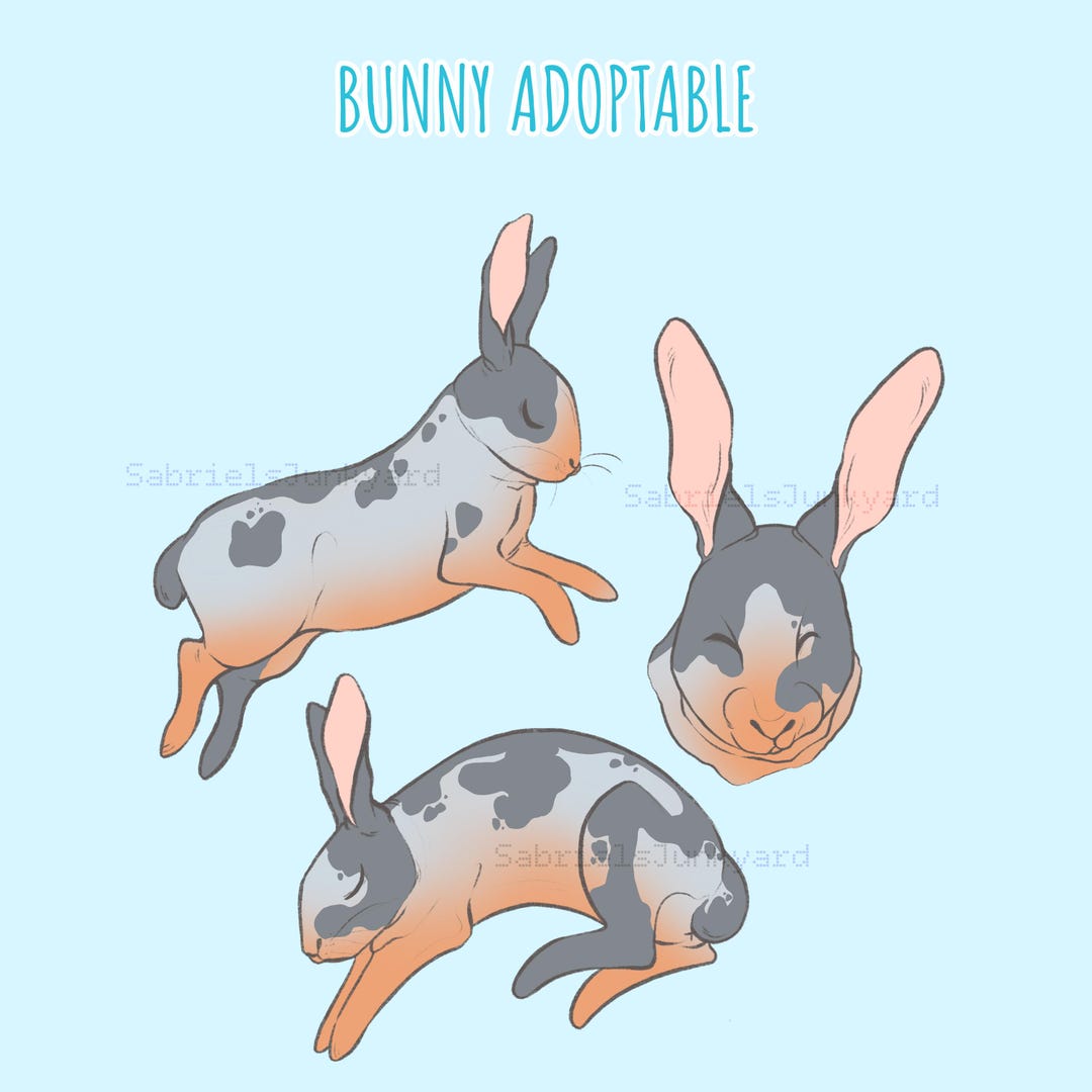 Bunny Blue Merle Feral Rabbit Adoptable - Etsy Canada