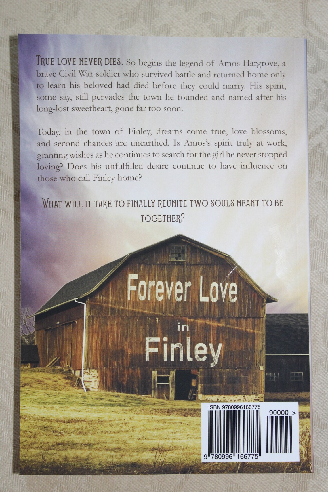 Forever Finley Signed and Personalized Book by Holly Schindler - Etsy