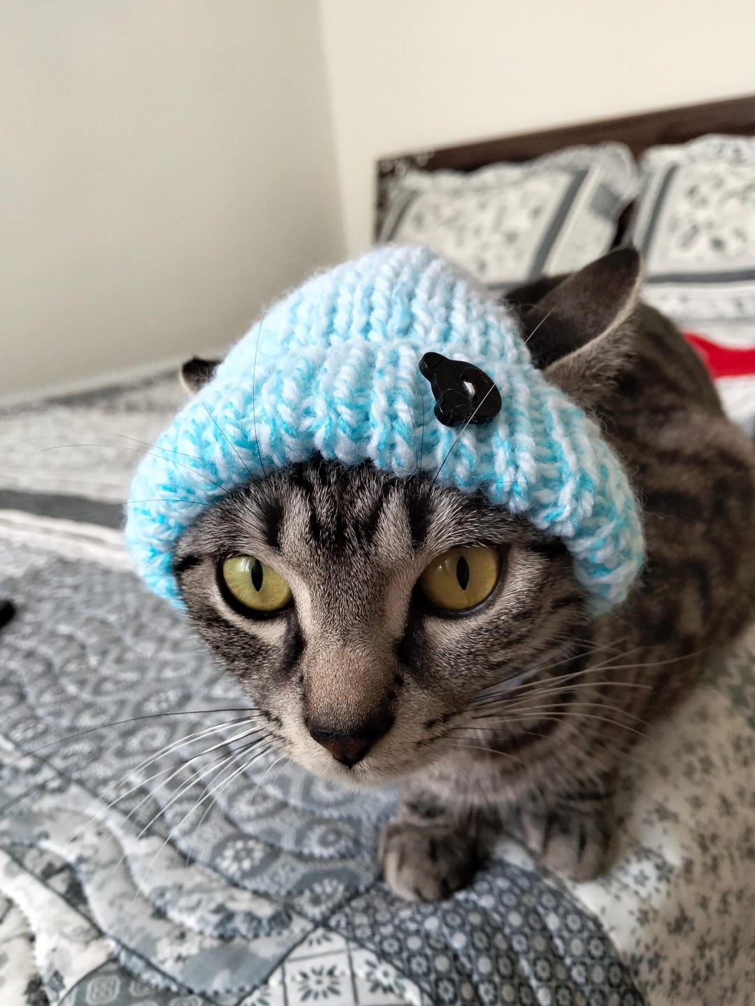 Cats Hat. Pets Hat. Pets Clothing. Cute Hat. - Etsy