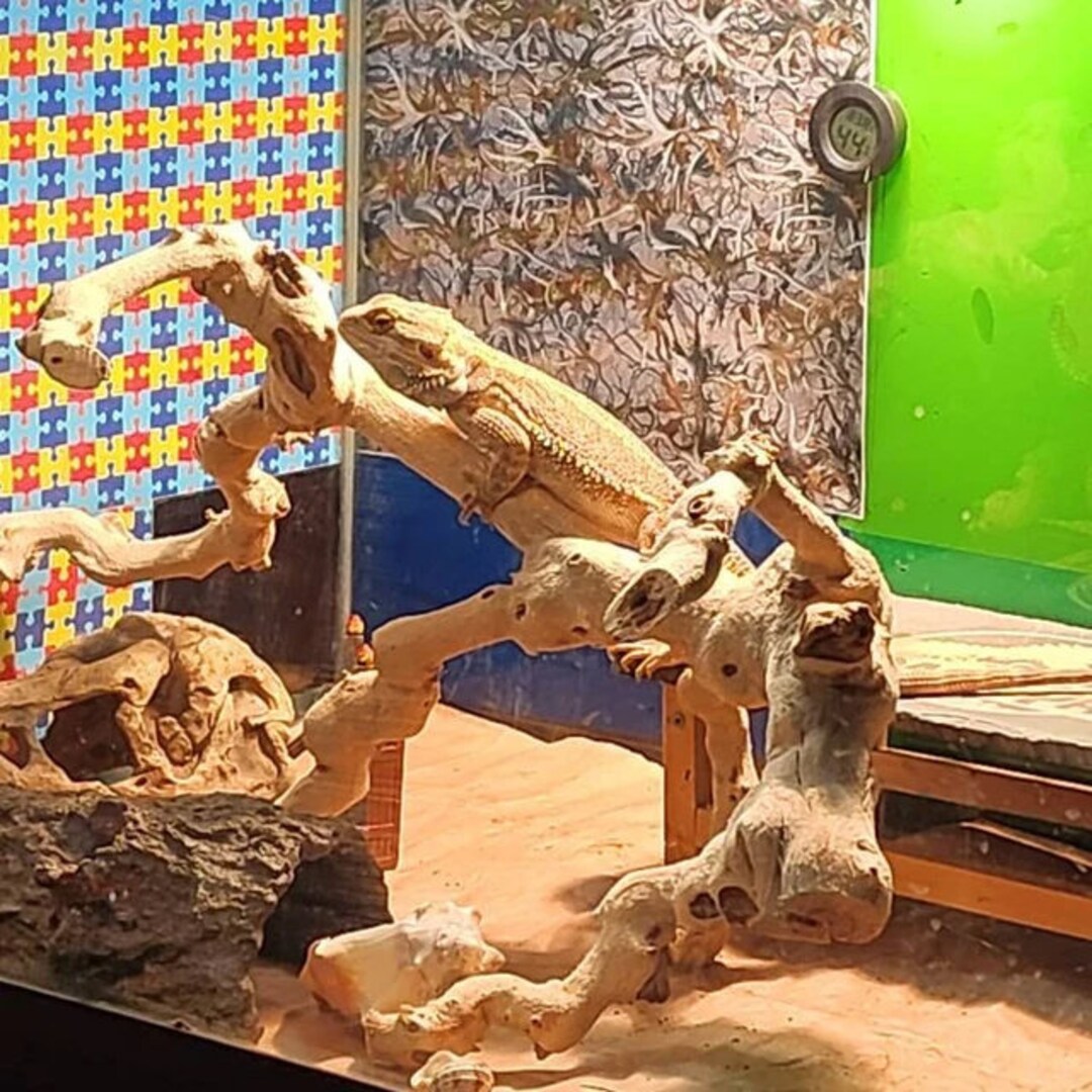 Sandblasted Grapevine Wood Sandblasted Grapewood Grapevine - Etsy