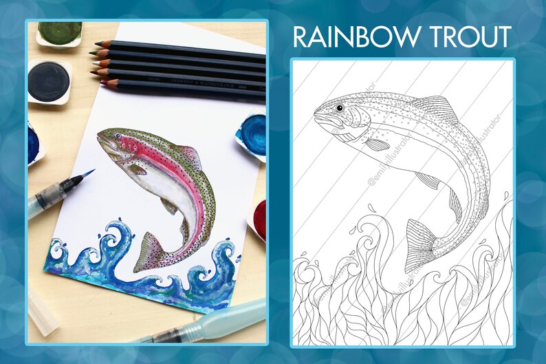 Rainbow Trout Digital Coloring Page - Etsy