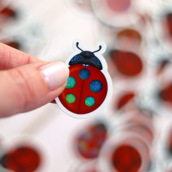 Miraculous Ladybug Stickers - Etsy
