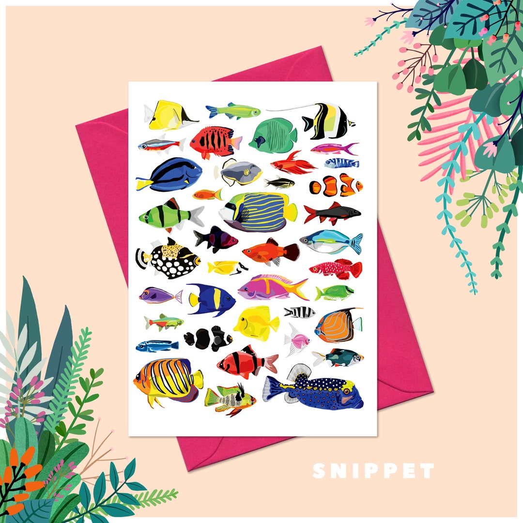 Tropical Fish Greeting Card - Birthday Cards - Gift for Him Her - Cards ...