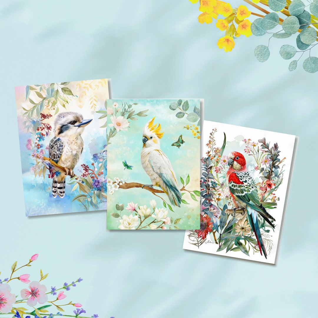 Aussie Birds Card Set of 3, Baby Kookaburra, Cockatoo and Rosella ...