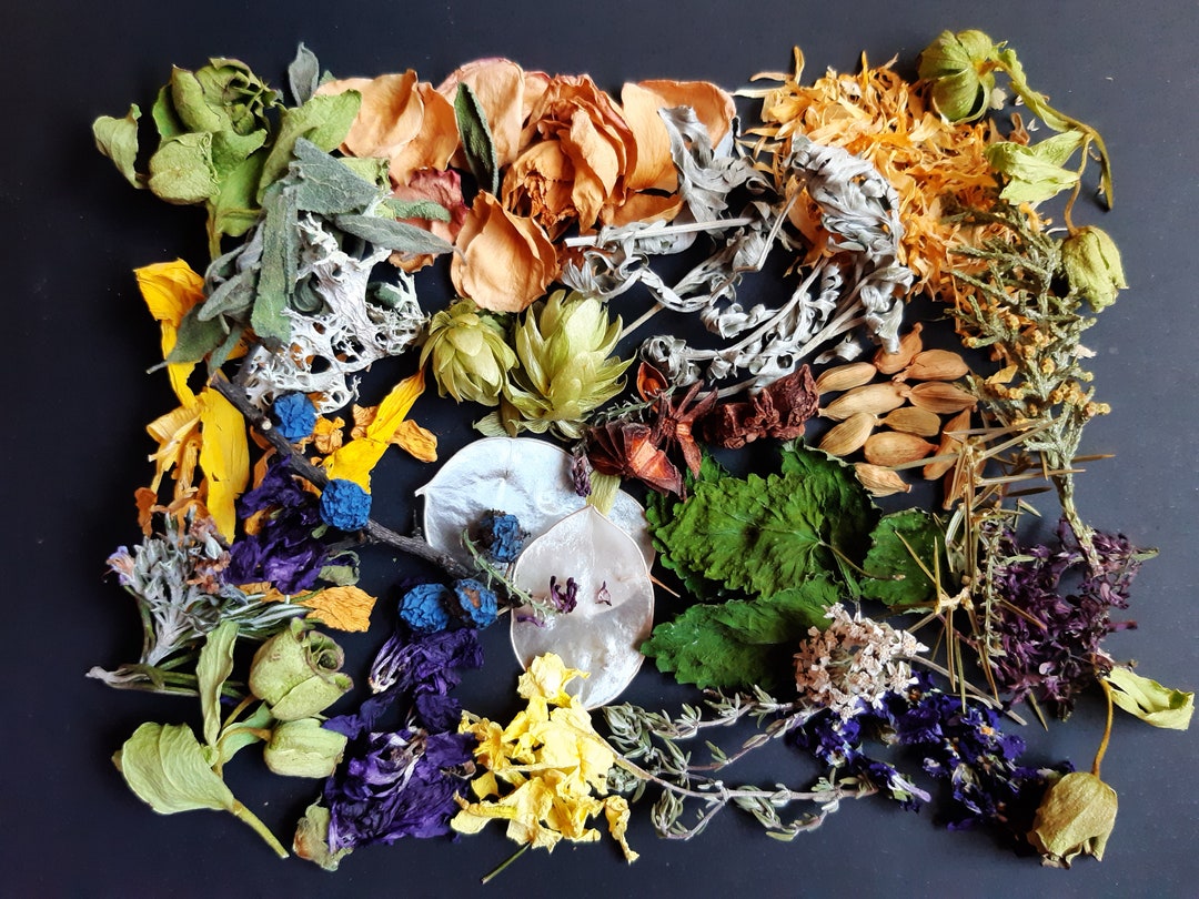 Wiccan Herbs Set Flowers and Leaves Rituels Wicca Charm Bags Incense ...