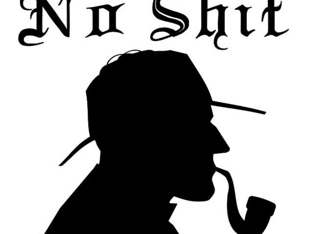 No Sh!t Sherlock SVG - Etsy