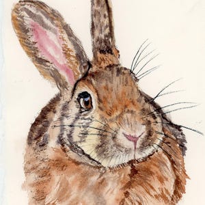 Hand-painted Bunny Portrait From Photo, Personalized Pet Painting ...