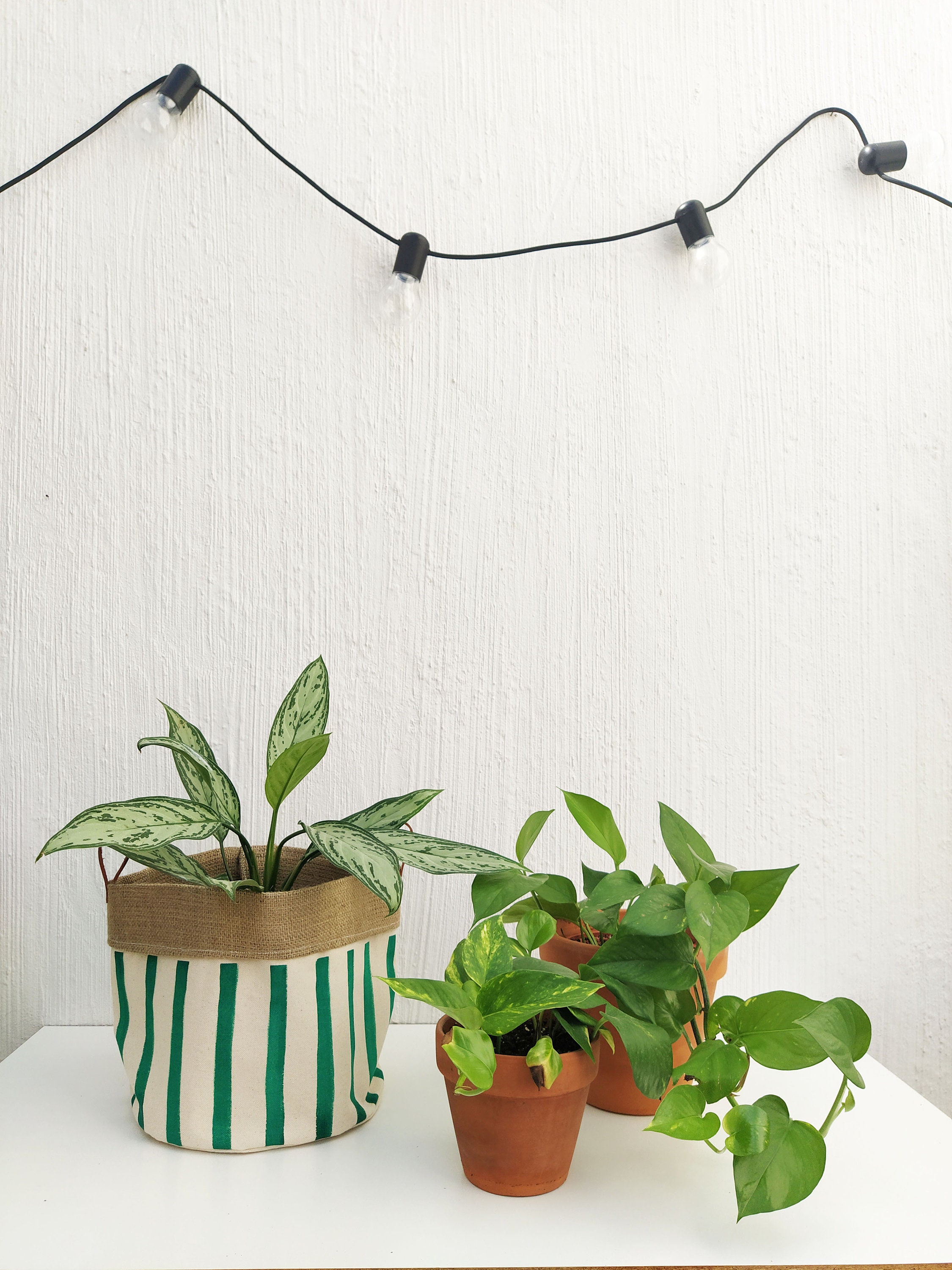 Canvas Plant Basket Modern Living Room Indoor Planter Hand - Etsy