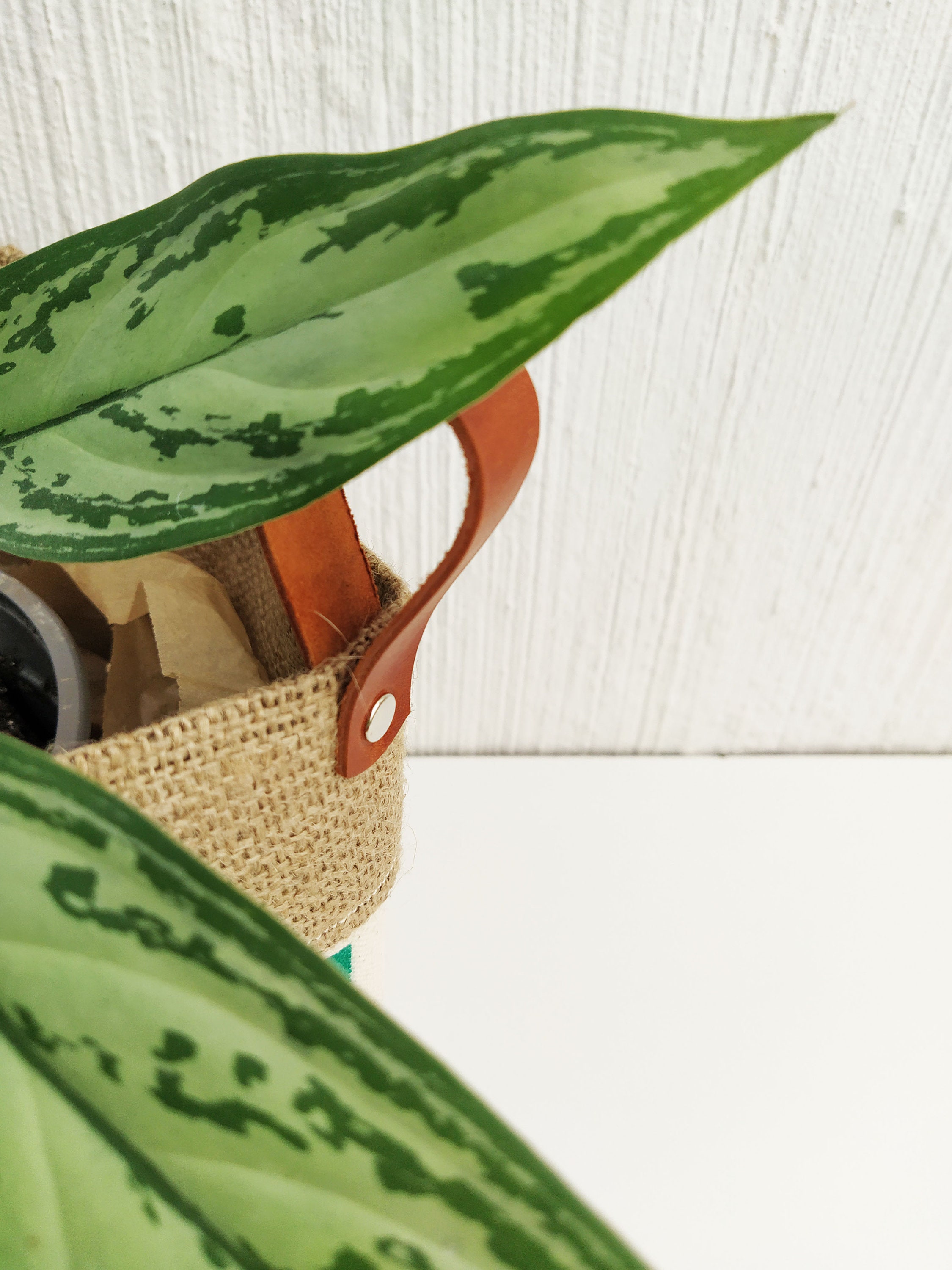 Canvas Plant Basket Modern Living Room Indoor Planter Hand - Etsy