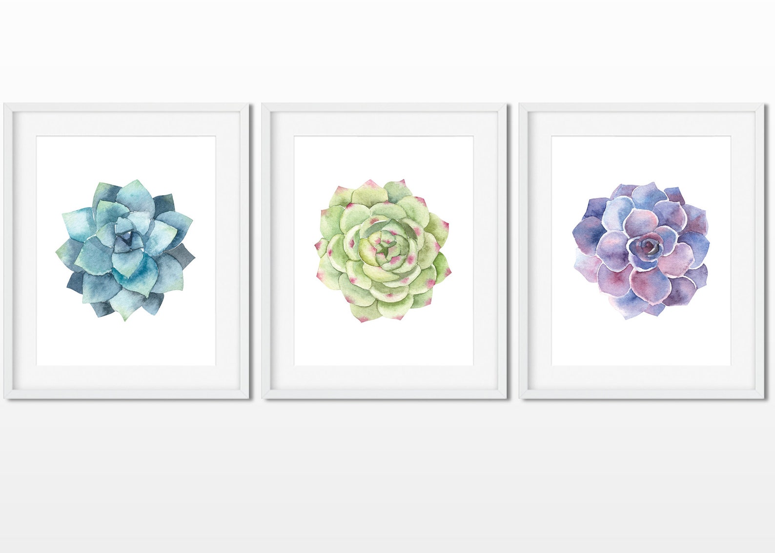Succulents Wall Art Set of 3 Instant Download Printables - Etsy