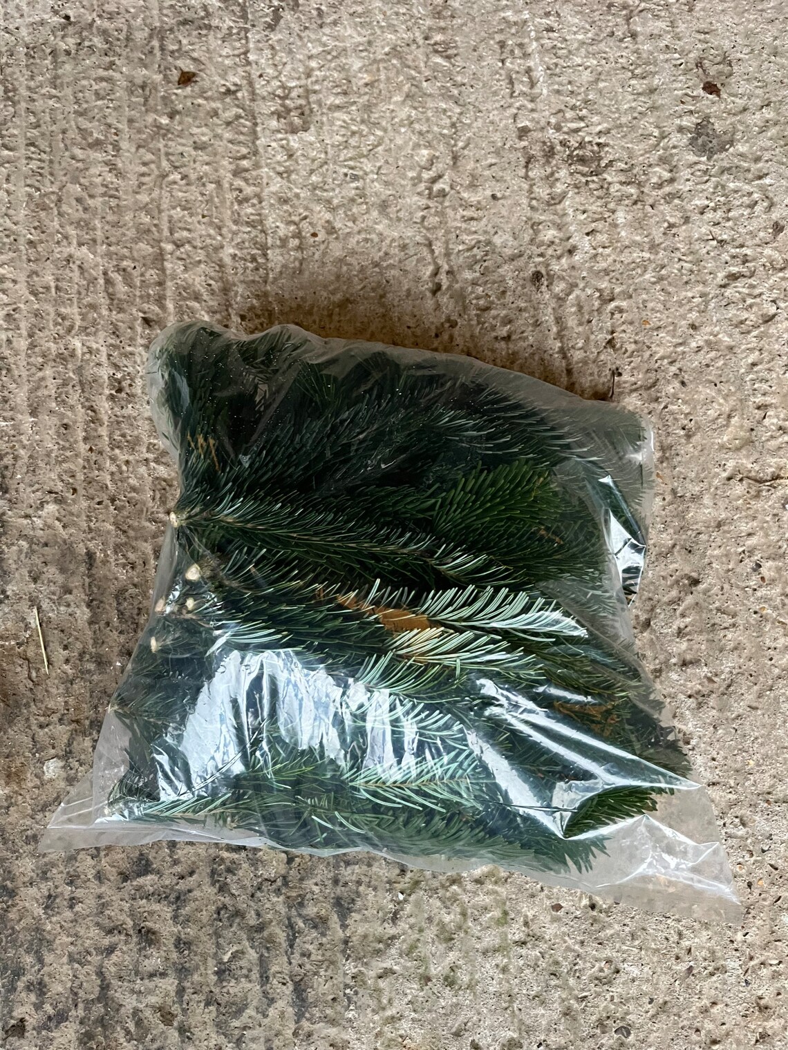 Feuillage de sapin Nordmann de 1,5 kg convient pour les couronnes et ...