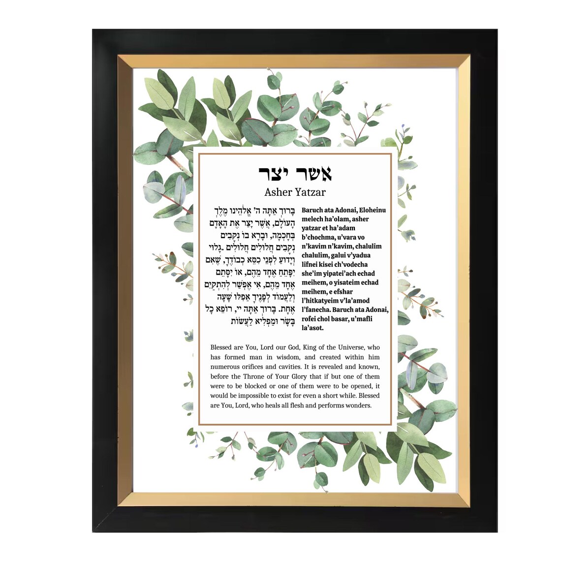 Asher Yatzar Wall Blessing in Hebrew, English, and Transliteration in ...