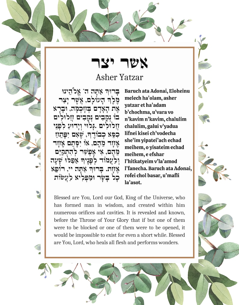 Asher Yatzar Wall Blessing in Hebrew, English, and Transliteration in Botanical Design Frame ...