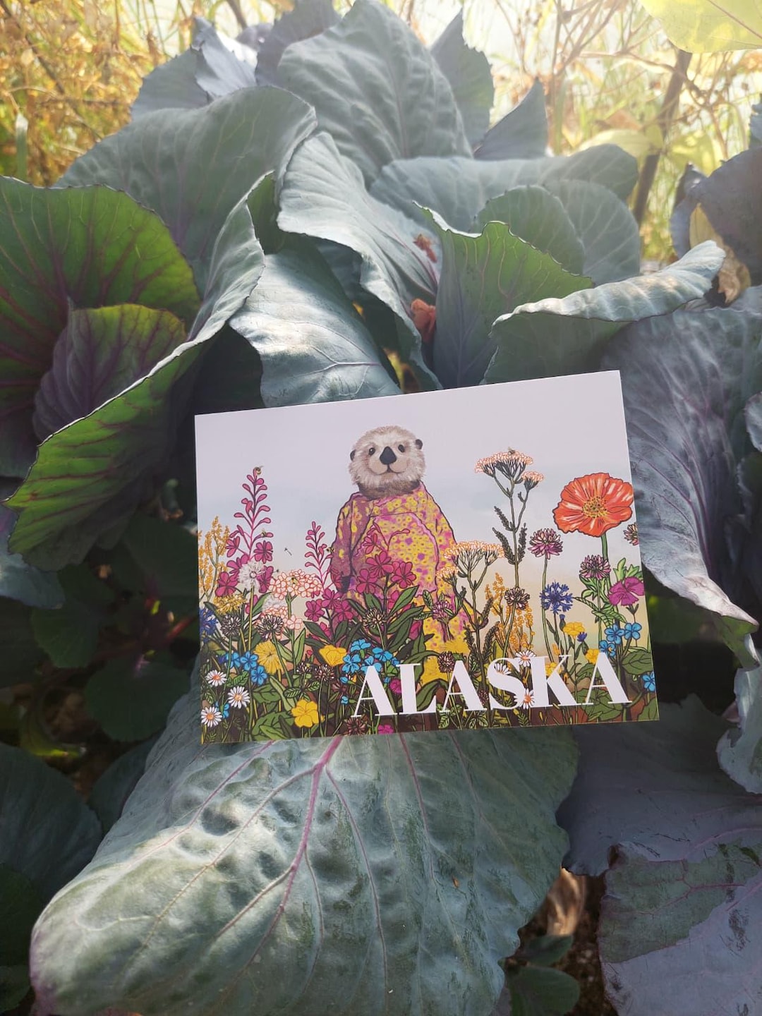 Alaskan Otter in Kuspuk Postcard, Alaska Wildlife Art, Illustrated USA ...