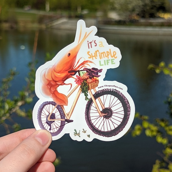 Shrimp on Bicycle Vinyl Decal Vinyl Stickers Laptop - Etsy