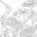 Cranes Coloring Page Printable File - Etsy