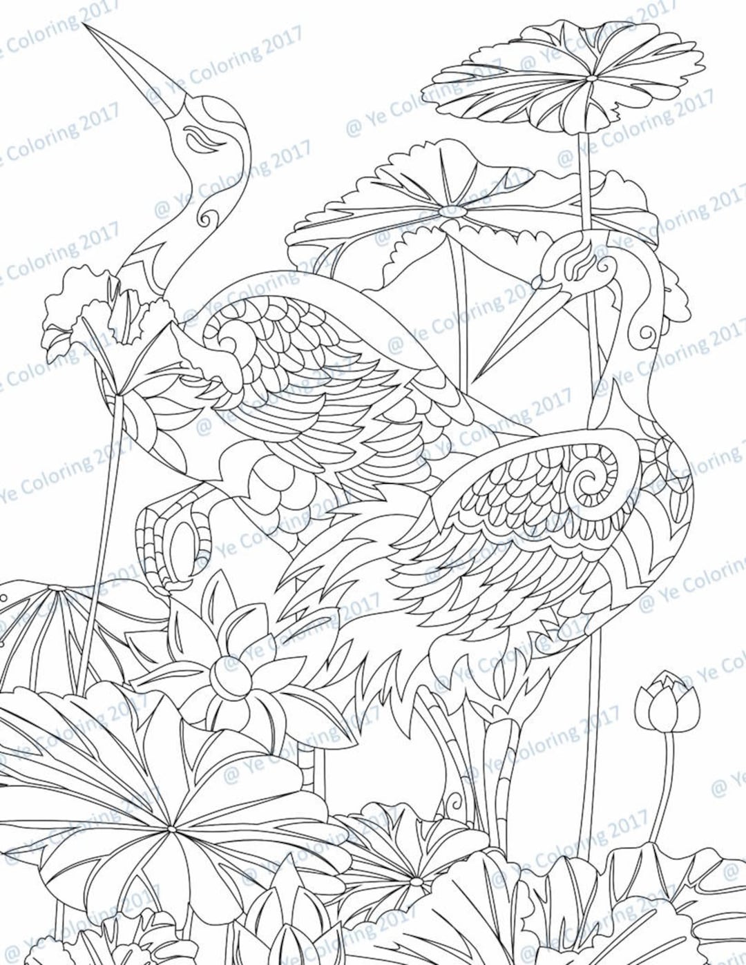 Cranes Coloring Page Printable File - Etsy