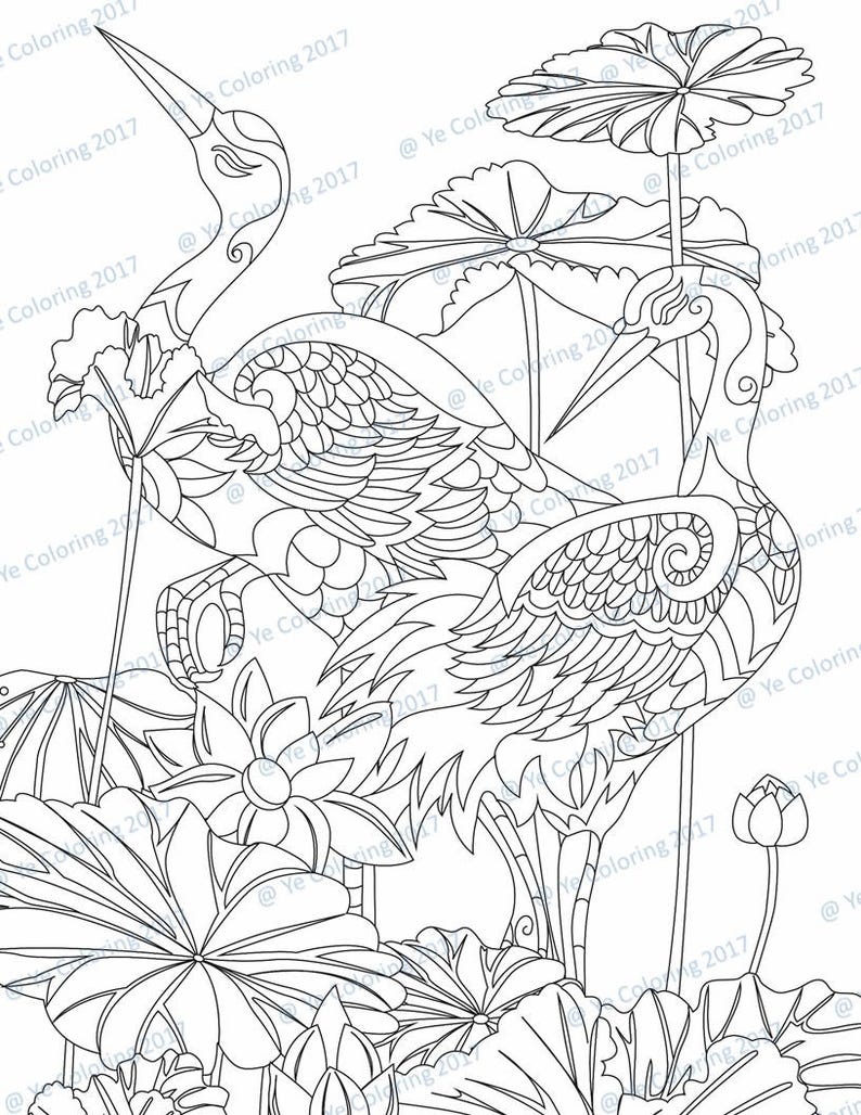 Cranes Coloring Page Printable File - Etsy