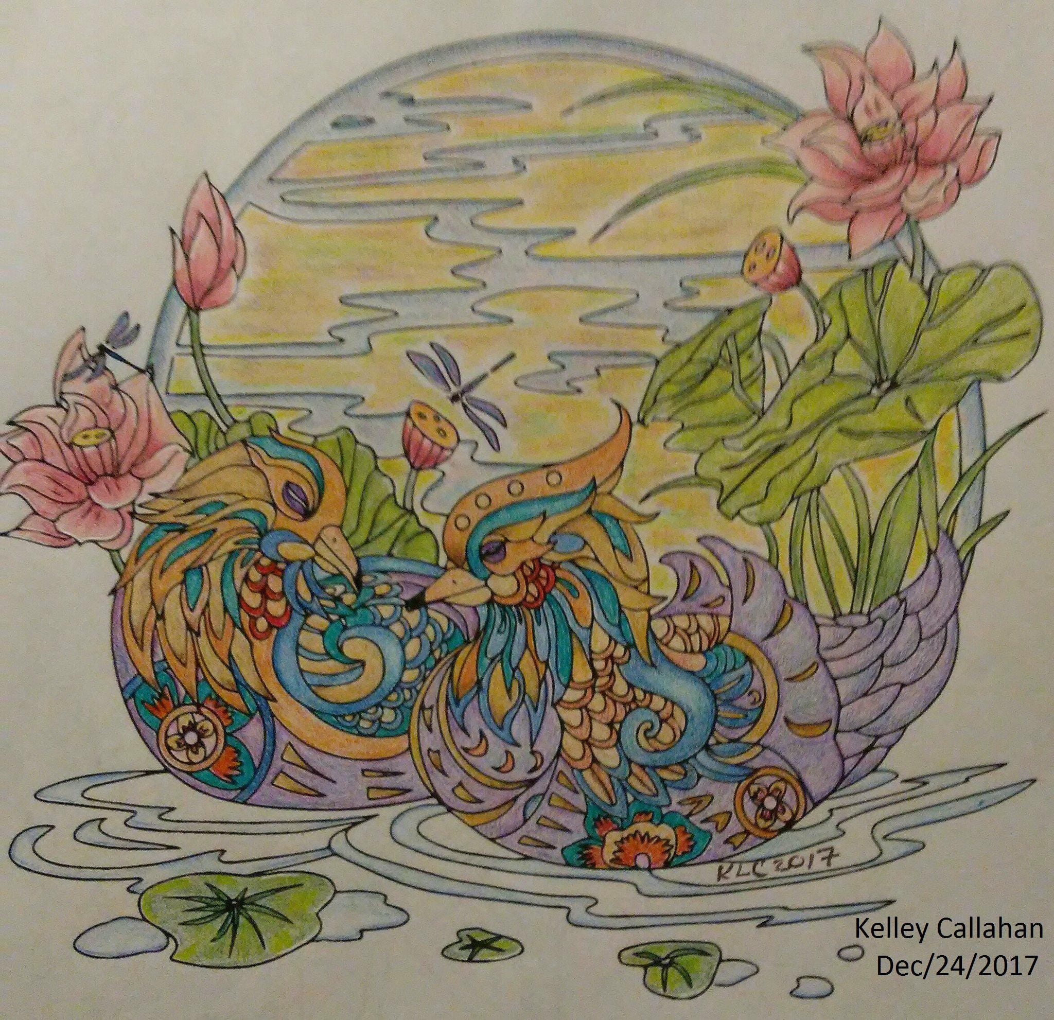 Mandarin Ducks Coloring Page Printable File - Etsy