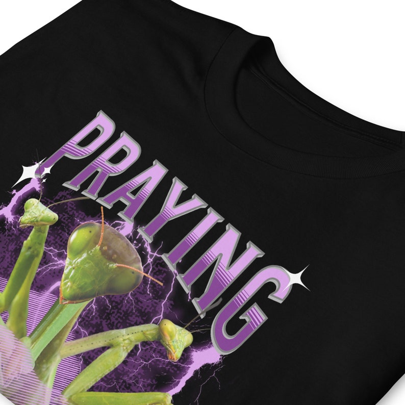 Praying Mantis T Shirt Praying for You Shirt Vintage Style - Etsy