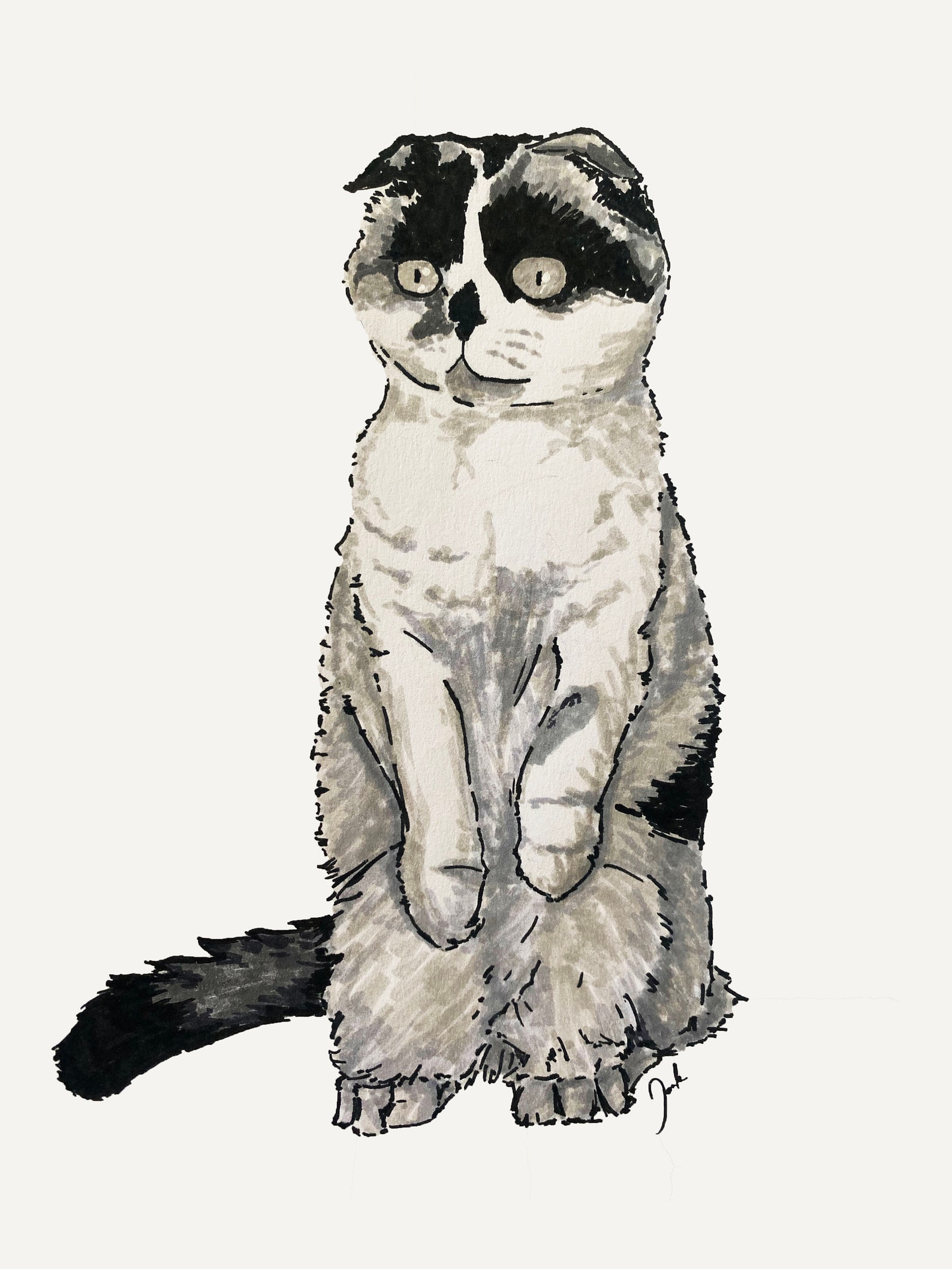 Hand Drawn Animal Portraits and Full Body - Etsy