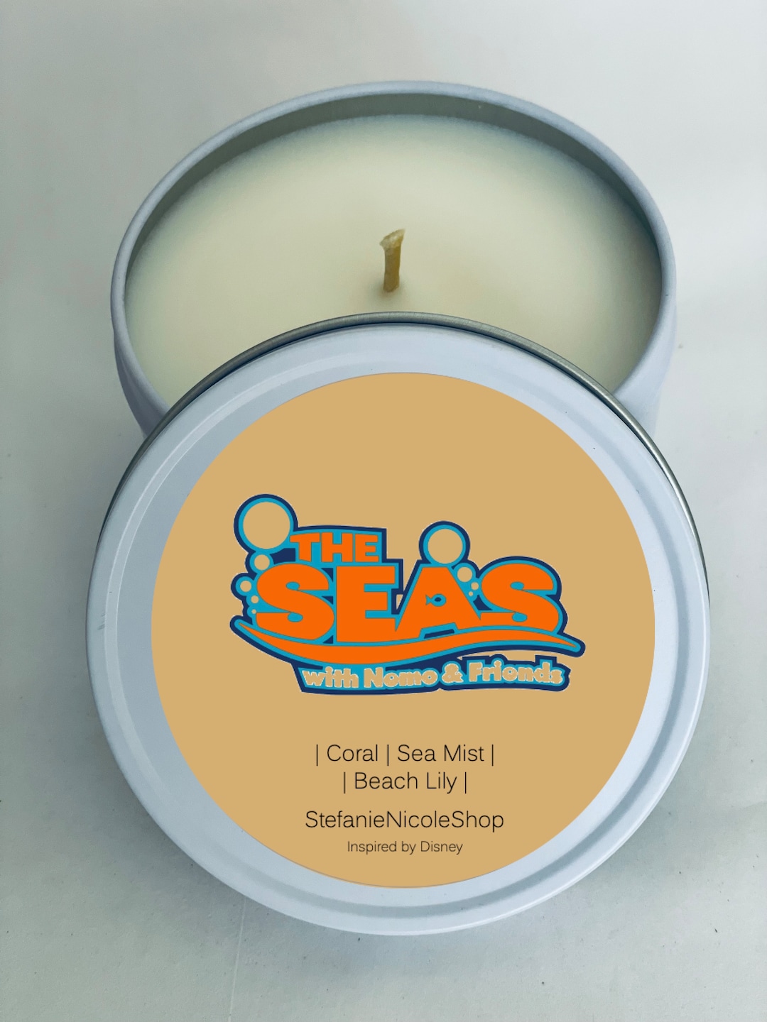 The Seas With Nemo and Friends - Disney World Ride - Disney Candle ...