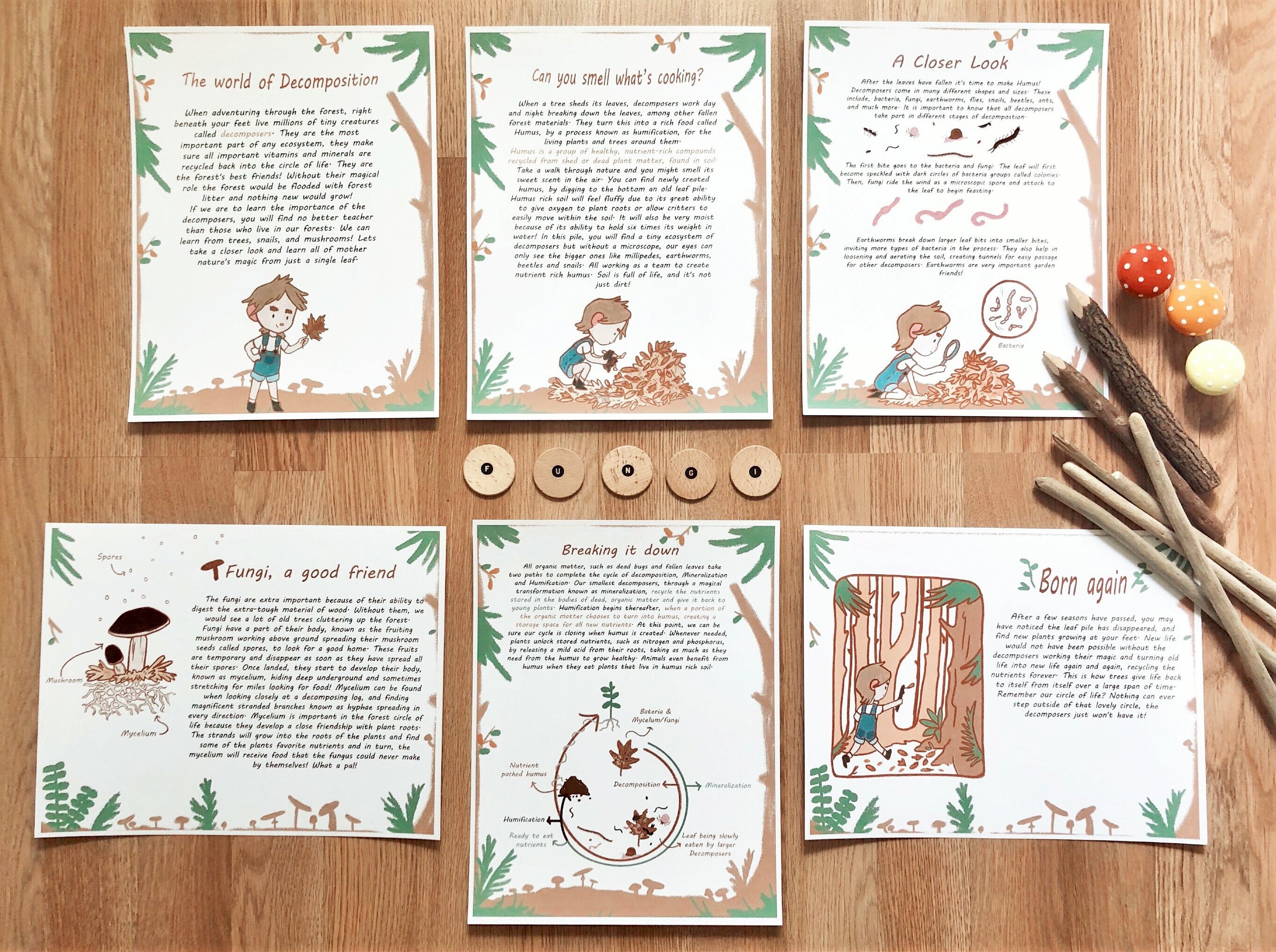 Decomposition Cycle - Homeschool Printable - Etsy
