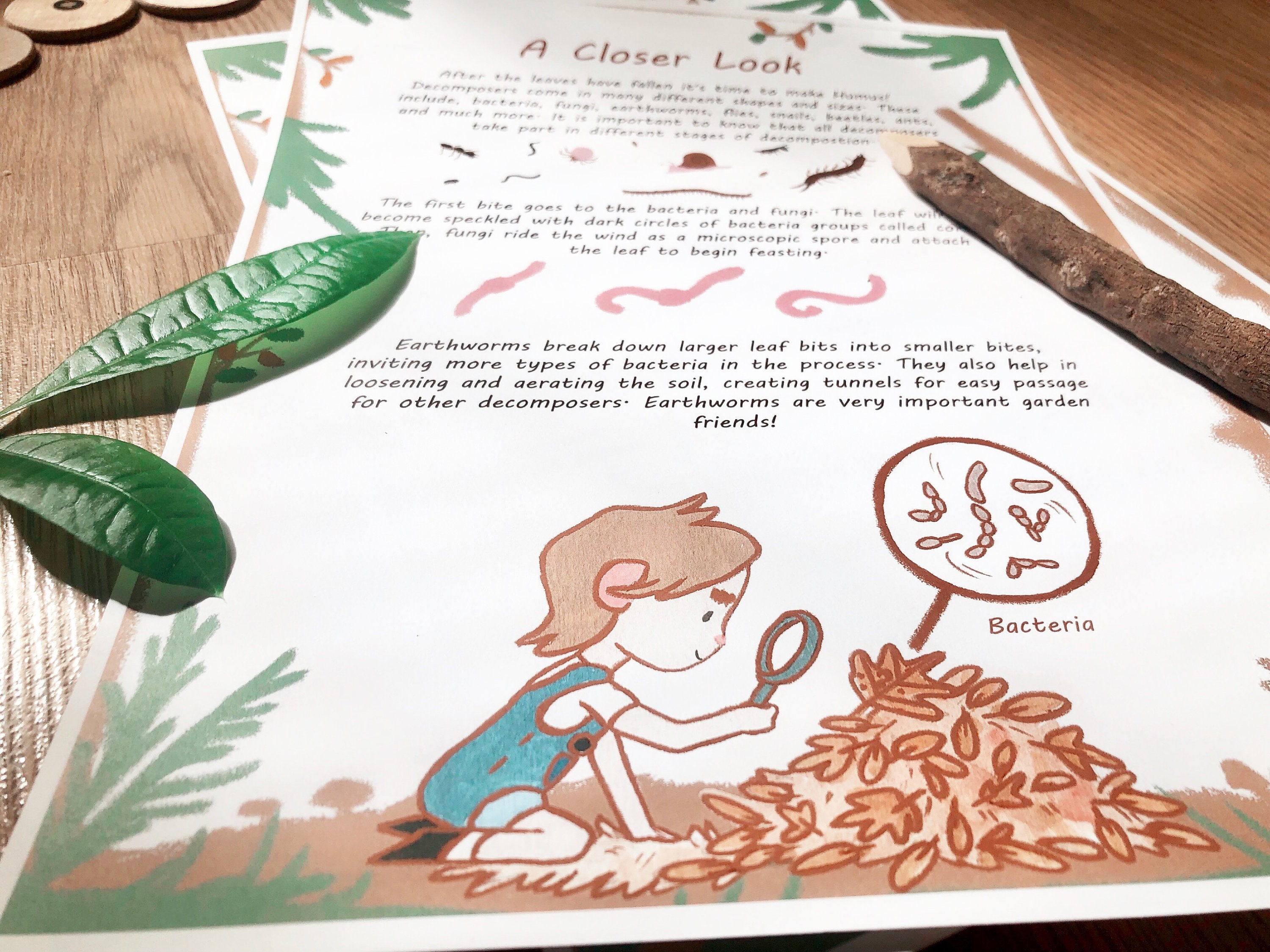 Decomposition Cycle - Homeschool Printable - Etsy