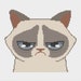 Grumpy Cat Portrait Cross Stitch Pattern Frowning Grouchy Cat Cross ...