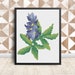 Texas Blue Bonnet Cross Stitch Pattern | Watercolor Bluebonnet: Full ...