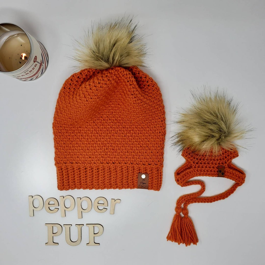 Matching Crochet Dog & Owner Beanie Set With Pom - Etsy