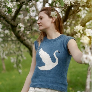 Sweater Knitting Pattern Vintage Swan Top in the Round Intarsia ...