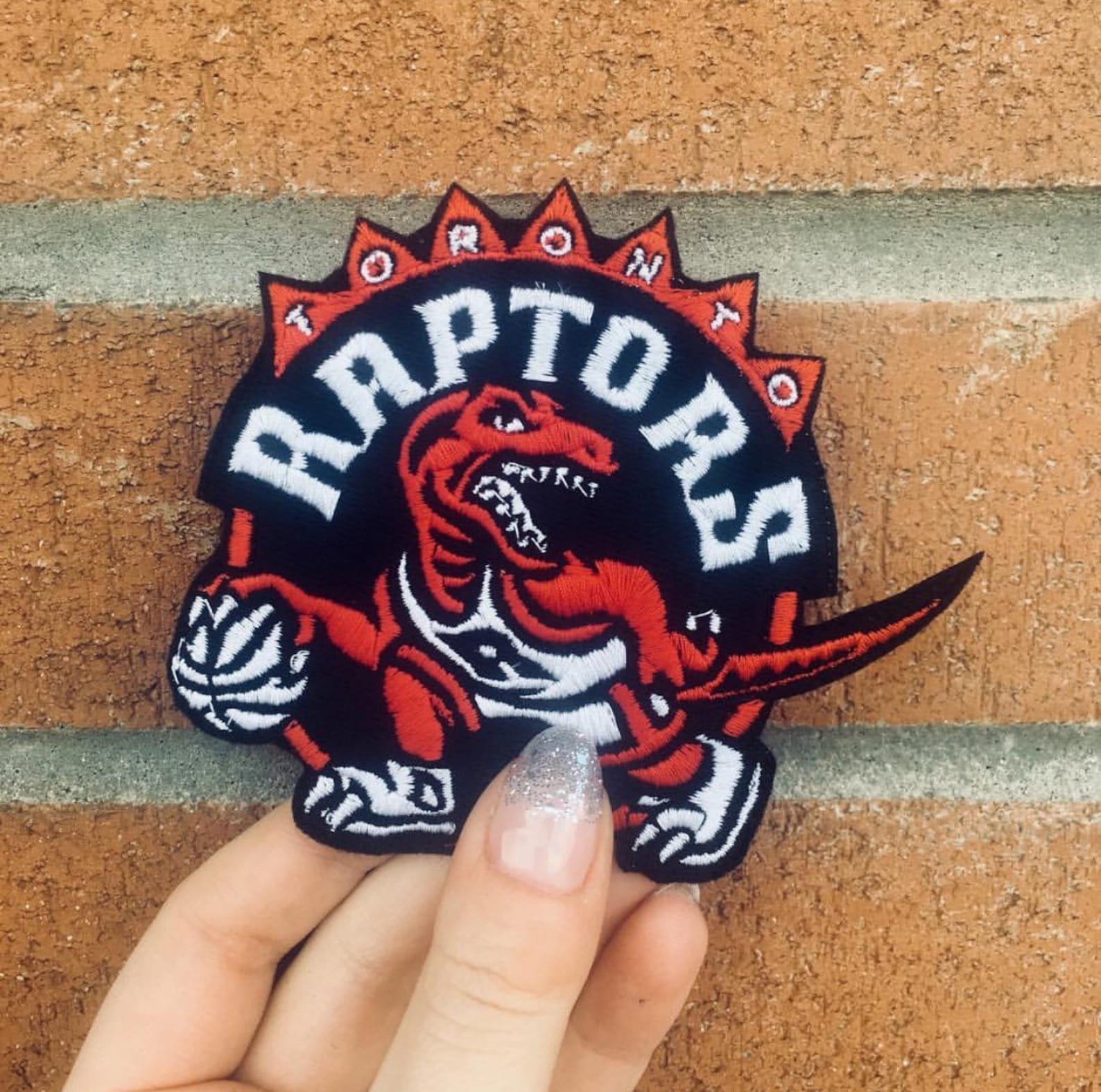 Badge Embroidered Patches Iron On Toronto Raptors | Etsy