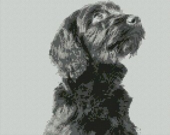 Labradoodle Counted Cross Stitch - Etsy
