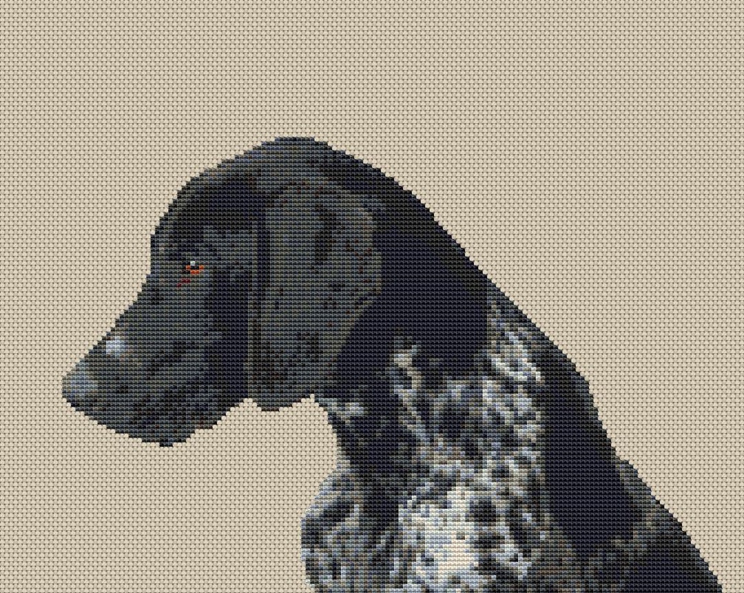 German Shorthaired Pointer Cross Stitch Kit 12"x 9.5" (30 X 24cm) 14 Count - Etsy