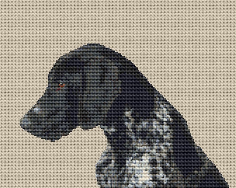 German Shorthaired Pointer Cross Stitch Kit 12"x 9.5" (30 X 24cm) 14 ...