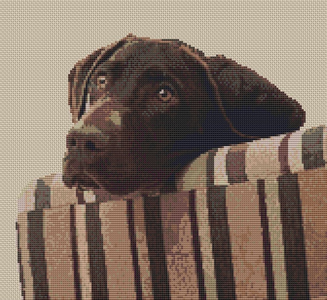 German Shorthaired Pointer Dog Puppy Cross Stitch Kit 12" X 11" 14 ...