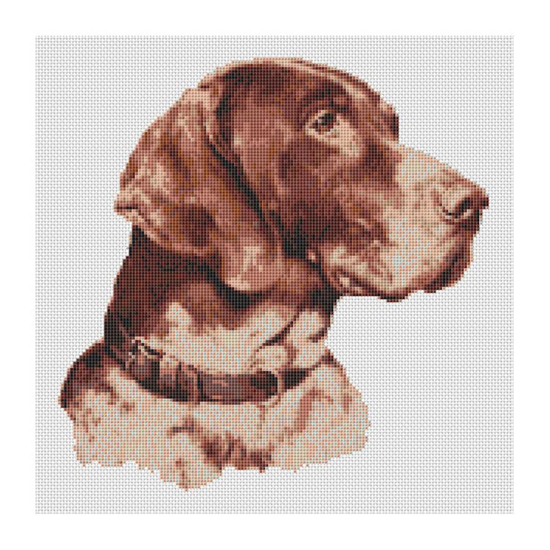 German Shorthaired Pointer Dog Puppy Counted Cross Stitch Kit 11" X 11 ...