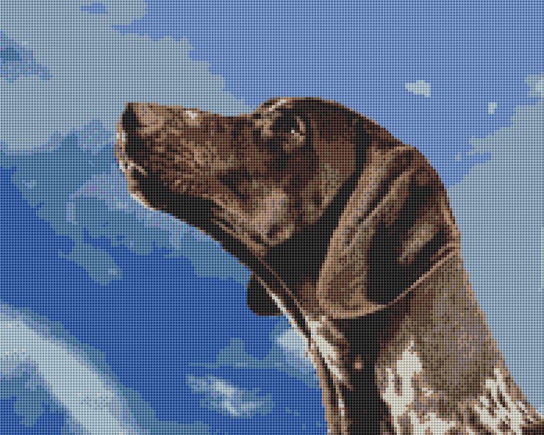 German Shorthaired Pointer Dog Puppy Counted Cross Stitch Kit 17.75 X ...