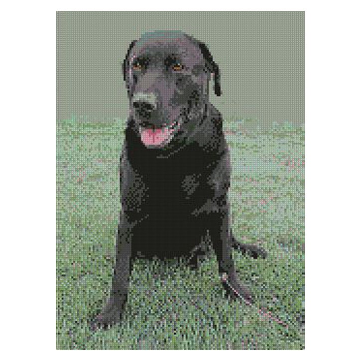Black Labrador Dog Puppy Counted Cross Stitch Kit - Etsy