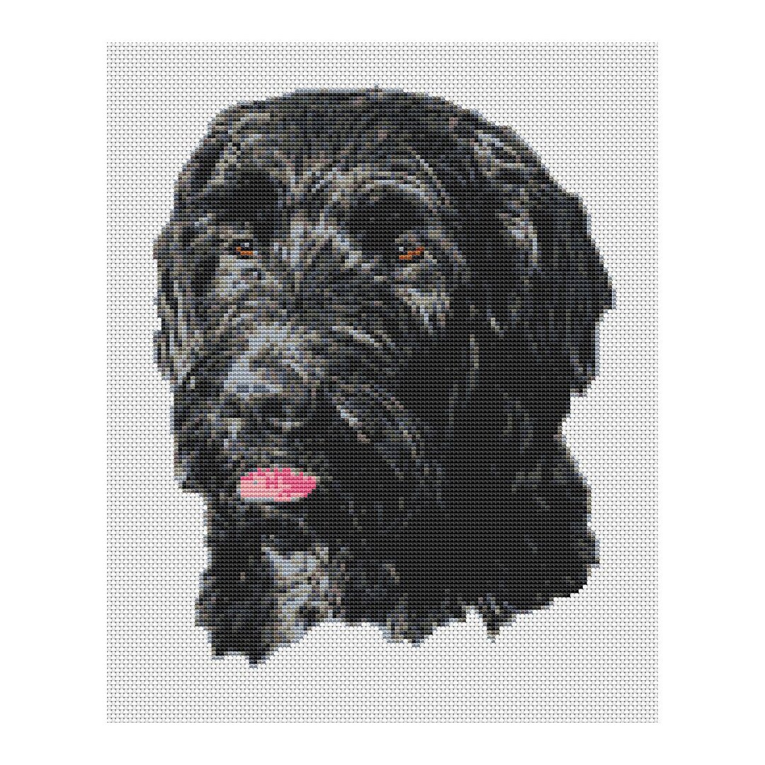 Labradoodle Dog Counted Cross Stitch Kit 9" X 11.5" 23cm X 29cm 14 ...
