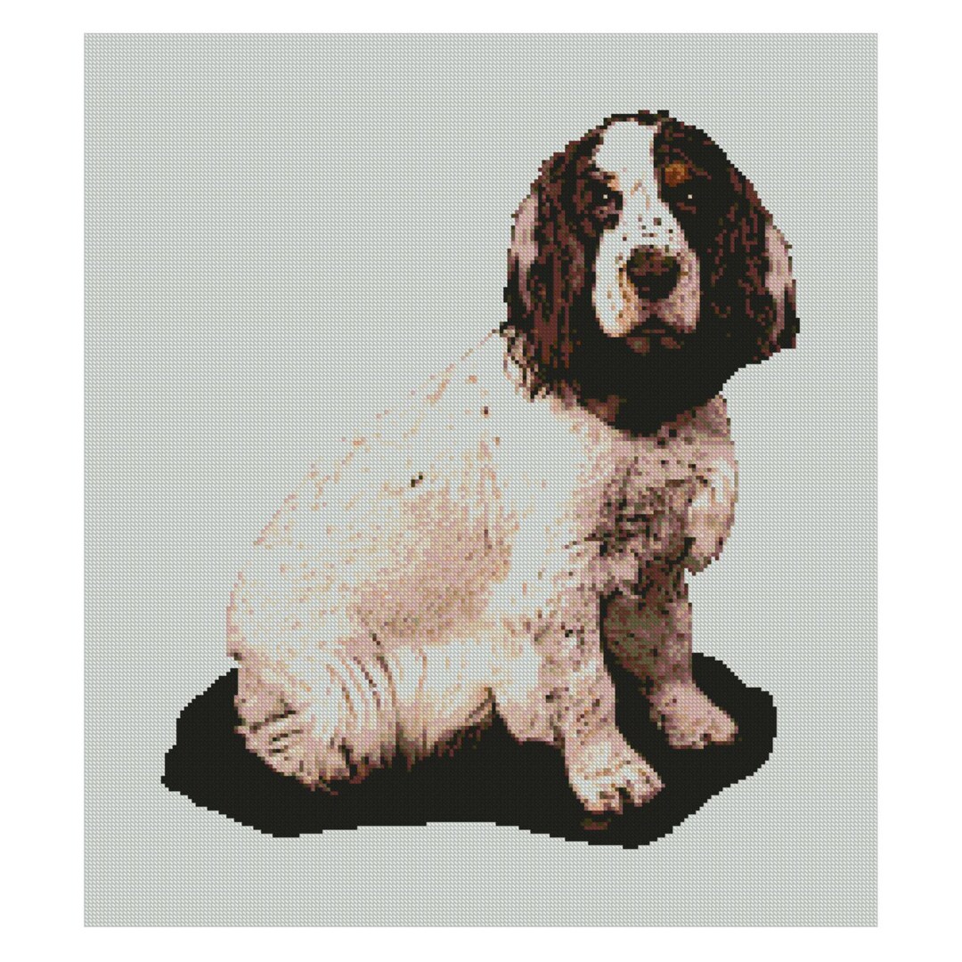 Springer Spaniel Counted Cross Stitch Kit 14.5" X 16.5" - Etsy