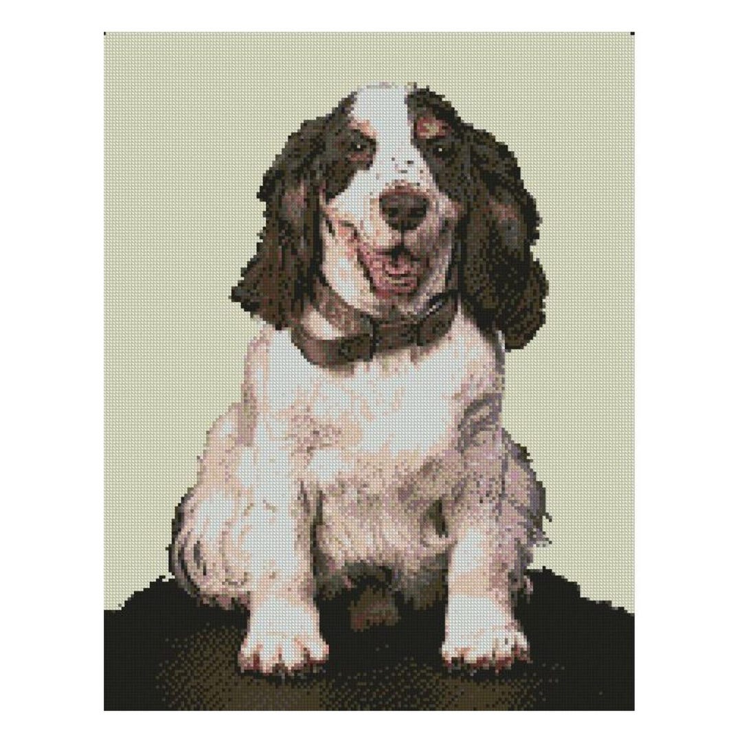 Springer Spaniel Dog Puppy Counted Cross Stitch Kit - Etsy